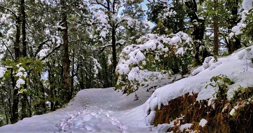 Top Locations for Snowfall in India and much more!