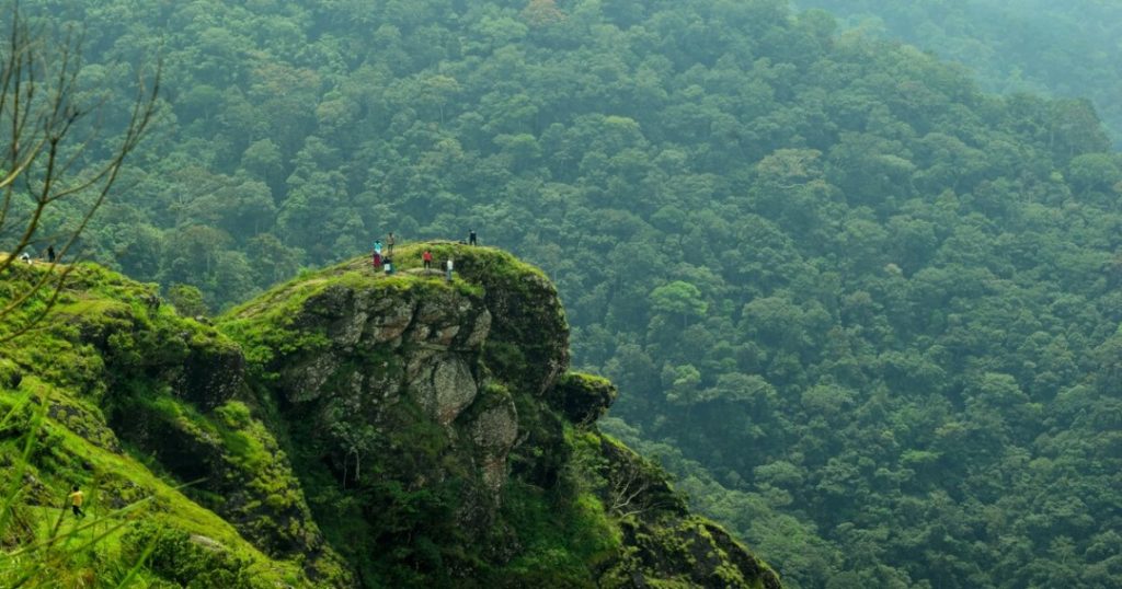 The Cardamom Hills, Kerala- A Hidden Gem in Idukki - Explurger Blog